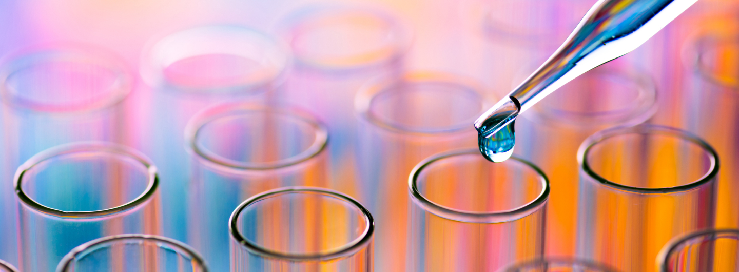 Research Lines - NIMSB